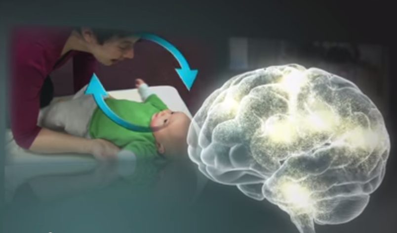 Running BrookeThe Three Core Concepts in Early Child Development ...